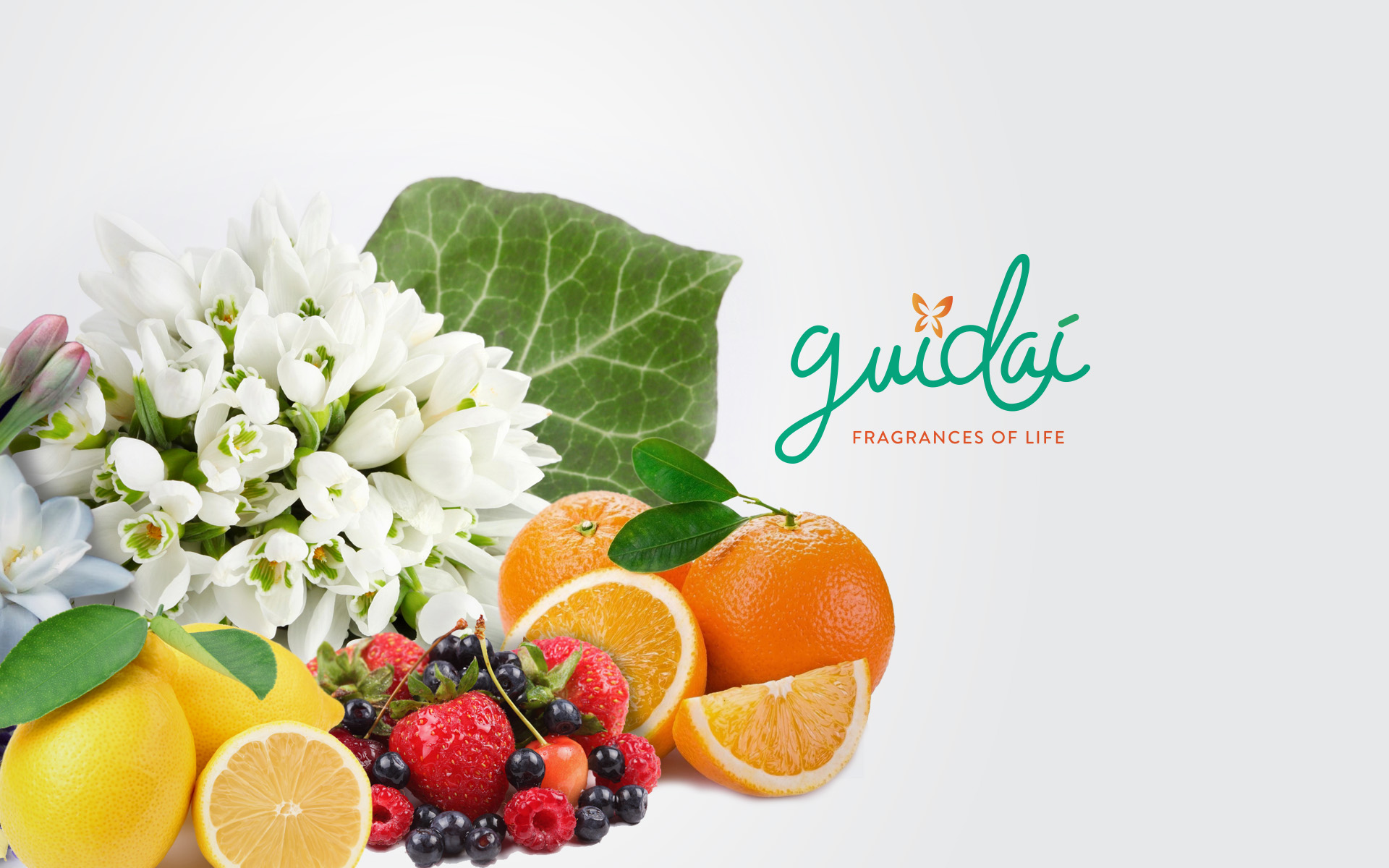 Guidai| CREATORstudio