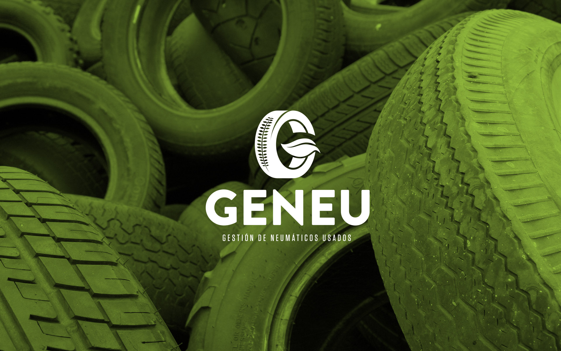 Geneu| CREATORstudio