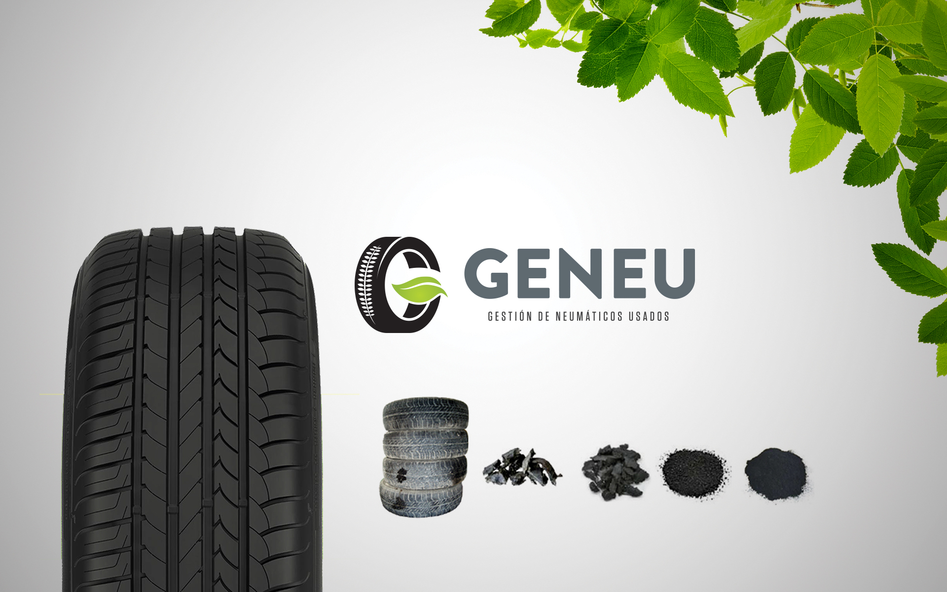 Geneu| CREATORstudio